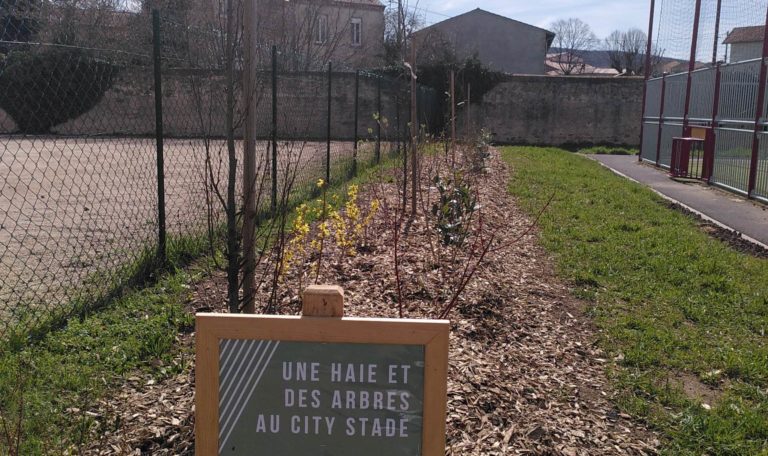 Des plantations qui améliorent le cadre de vie - Saint Germain Lembron
